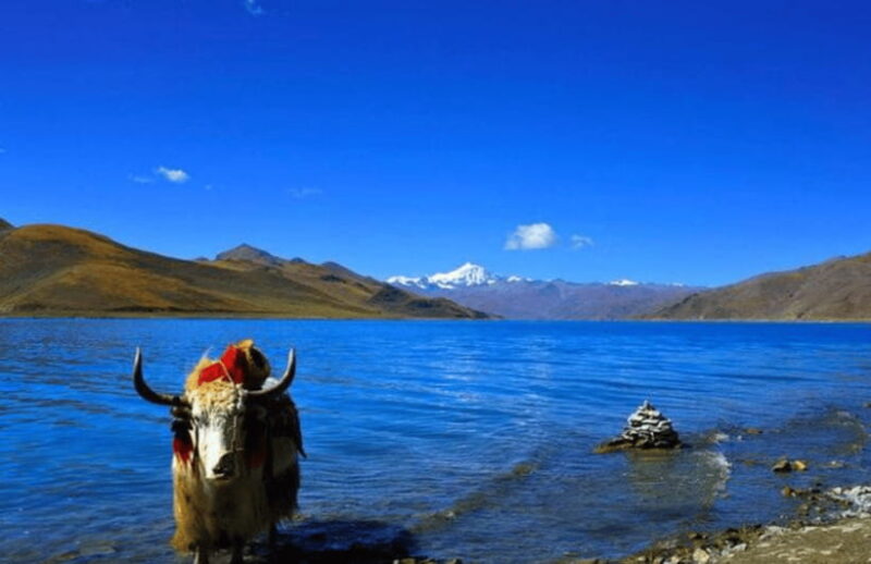 Tibet classic highlights 5days tour - FAQ: Practical Questions About the Tibet Classic Highlights 5-Day Tour