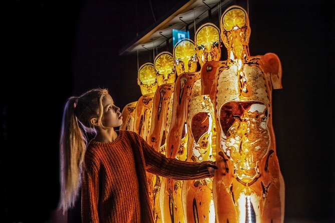 Ticket Expo Body Worlds in Bruges, Belgium - Pricing and Cancellation Policy