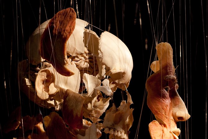 Ticket Expo Body Worlds in Bruges, Belgium - Frequently Asked Questions