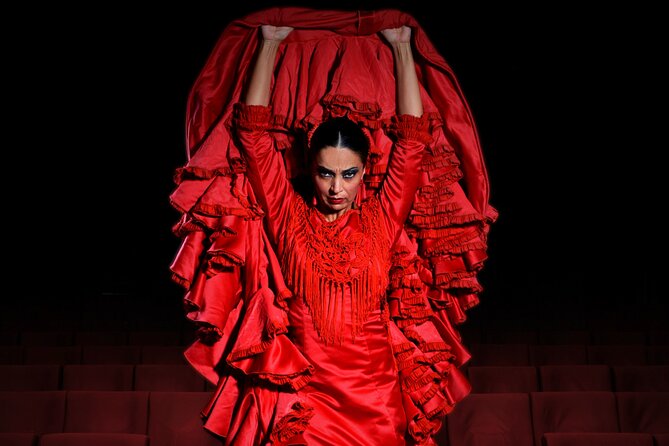 Ticket for Flamenco Show at Madrid Theater - Show Experience and Duration