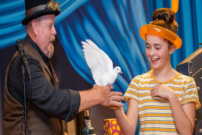 Ticket for Magic Show Theater in Houston - A Closer Look at the Magic Show Experience