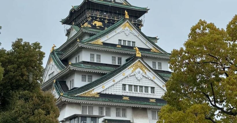 (Ticket Included) Explore Osaka Castle & Museum of History - Deep Dive into the Tour Experience