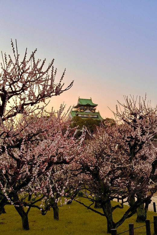 (Ticket Included) Explore Osaka Castle & Museum of History - Who Would Love This Tour?