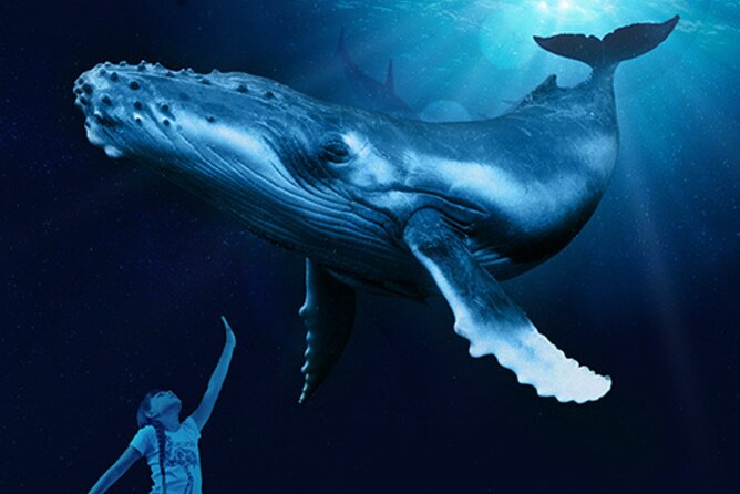 Ticket Palma Aquarium - Main Attractions