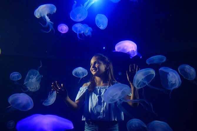 Ticket Palma Aquarium - Interactive Exhibits and Activities