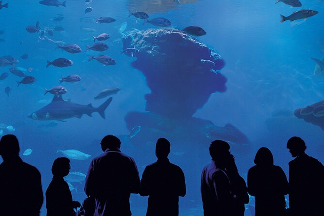 Ticket Palma Aquarium - Booking and Cancellation Policy