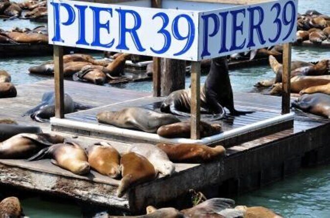 Ticket Pass to the Flyer 7D Ride and Laser Maze in Pier 39 - Introduction