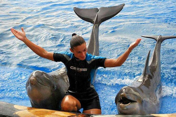 Ticket to Aqualand Tenerife - What You Can Expect at Aqualand Costa Adeje