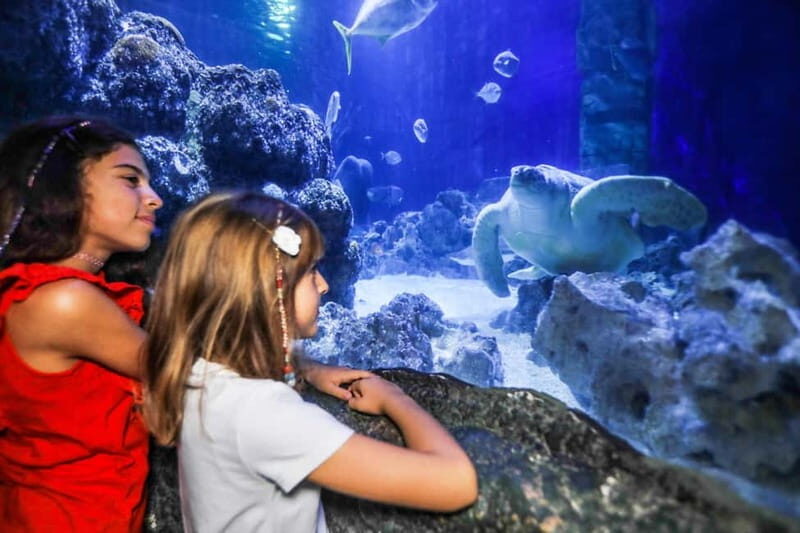Ticket to SEA LIFE Konstanz - An Entertaining Journey into Marine Environments