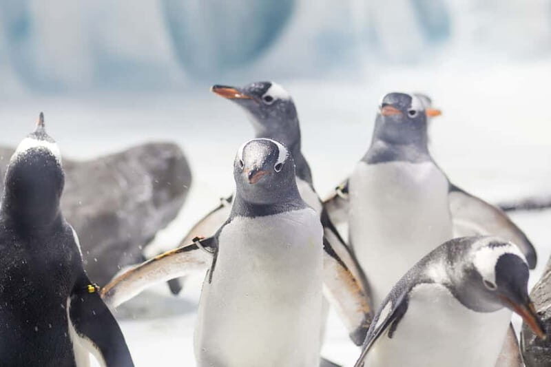 Ticket to SEA LIFE Konstanz - Amenities and Practical Details