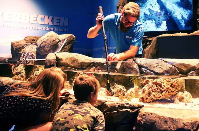 Ticket to SEA LIFE Konstanz - The Experience’s Pros and Cons