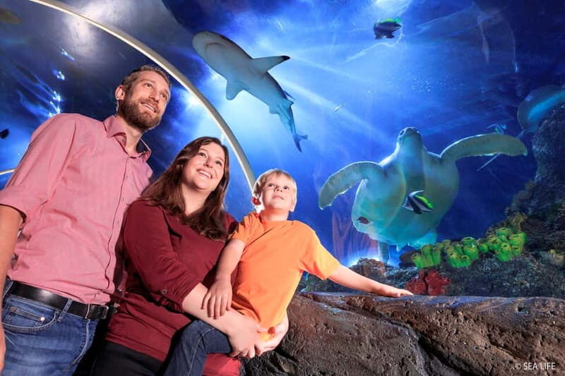 Ticket to SEA LIFE Konstanz - Final Thoughts: Who Should Visit?