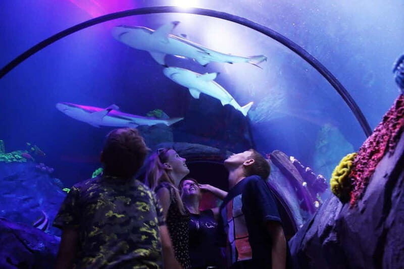 Ticket to SEA LIFE Konstanz - FAQs