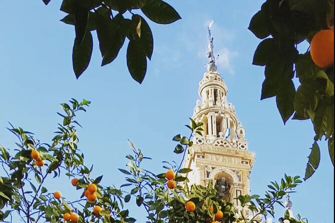 Tickets for Seville Cathedral & Giralda: Skip The Line - Authentic Experiences and Feedback