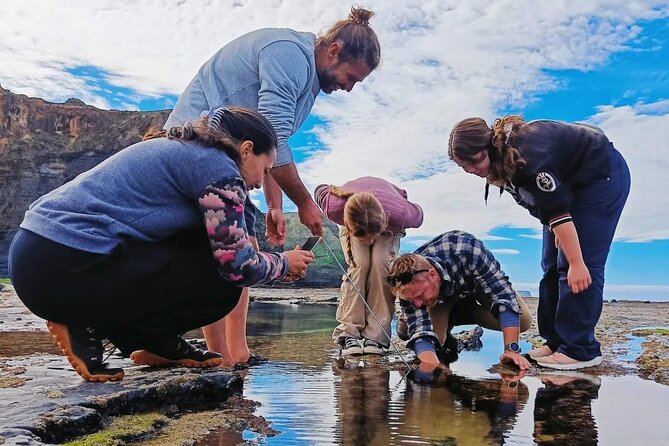 Tide Pool Safari in Monte Clérigo Beach - A Closer Look at the Tide Pool Safari Experience