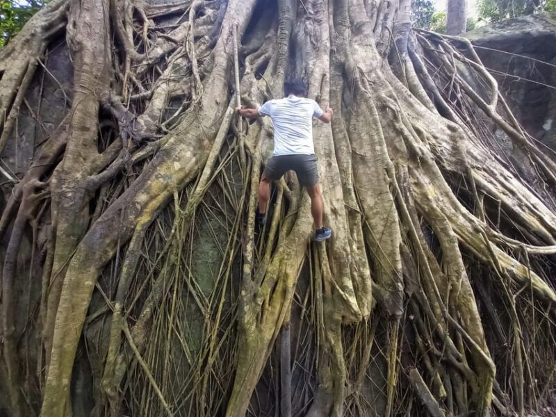 Tien Son Dinh 1-Day Trekking Tour Phu Quoc - The Experience Provider: Local Tours SAPA