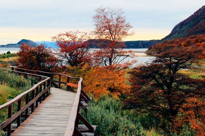 Tierra Del Fuego National Park - Tour Experience and Highlights