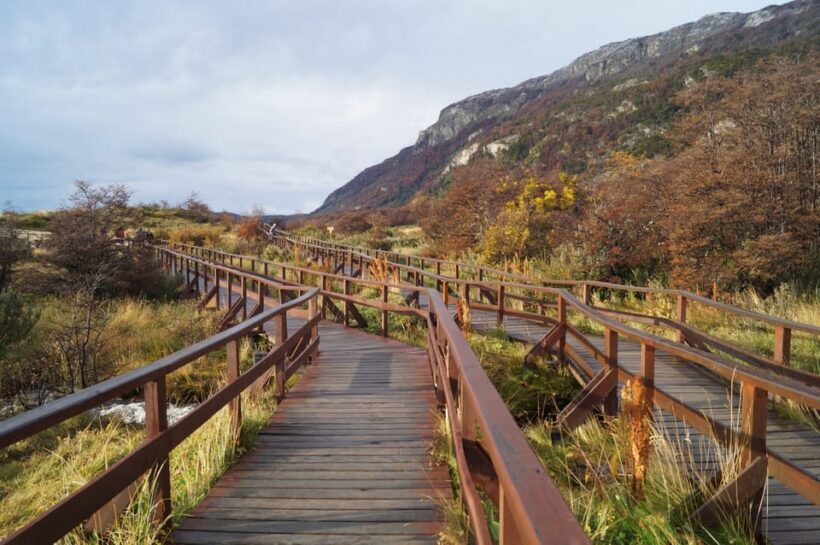Tierra del Fuego National Park: Small Group Tour with Lunch - What Travelers Are Saying