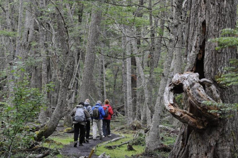 Tierra del Fuego National Park: Small Group Tour with Lunch - Final Thoughts