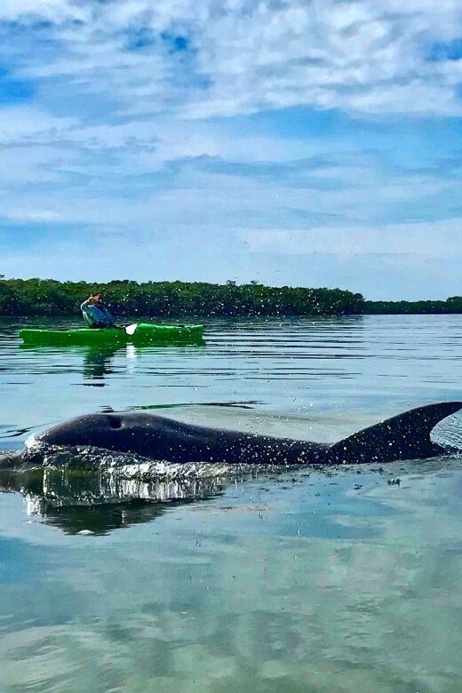 Tierra Verde FL: Coastal Kayaking Tour in Shell Key - An In-Depth Look at the Shell Key Kayaking Tour