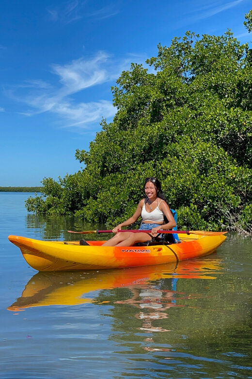 Tierra Verde: Shell Key Mangrove Private Guided 1.5 hr Tour - Unpacking the Experience: What You Can Expect