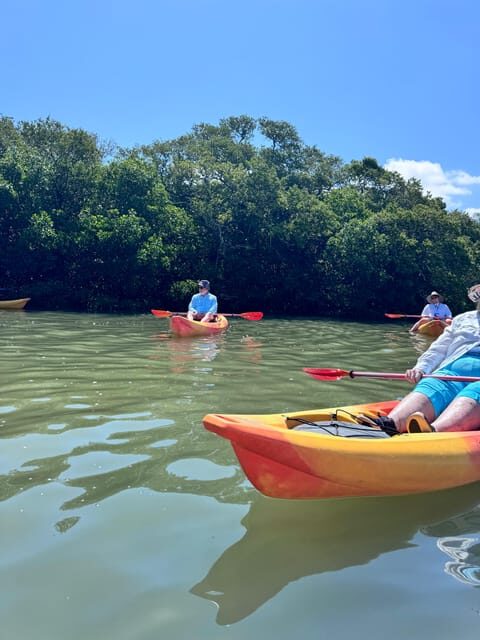 Tierra Verde: Shell Key Mangrove Private Guided 1.5 hr Tour - Authentic Moments Highlighted by Past Travelers