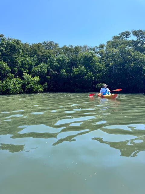 Tierra Verde: Shell Key Mangrove Private Guided 1.5 hr Tour - FAQs