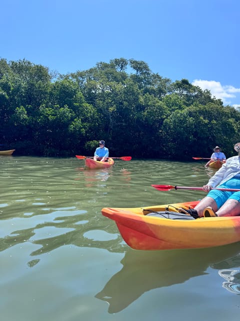 Tierra Verde: Shell Key Mangrove Private Guided 1.5 hr Tour - The Itinerary: What to Expect