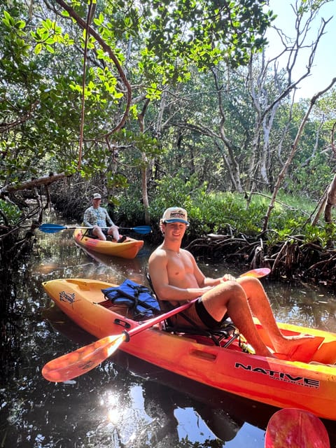 Tierra Verde: Shell Key Mangrove Private Guided 1.5 hr Tour - The Value of This Tour