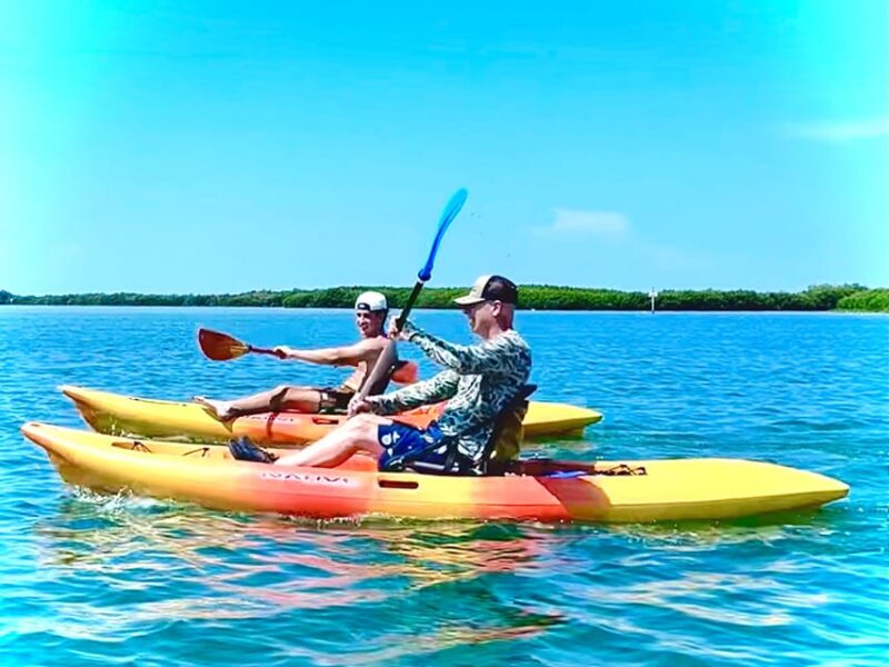 Tierra Verde: Shell Key Mangrove Private Guided 1.5 hr Tour - Who Will Love This Tour?