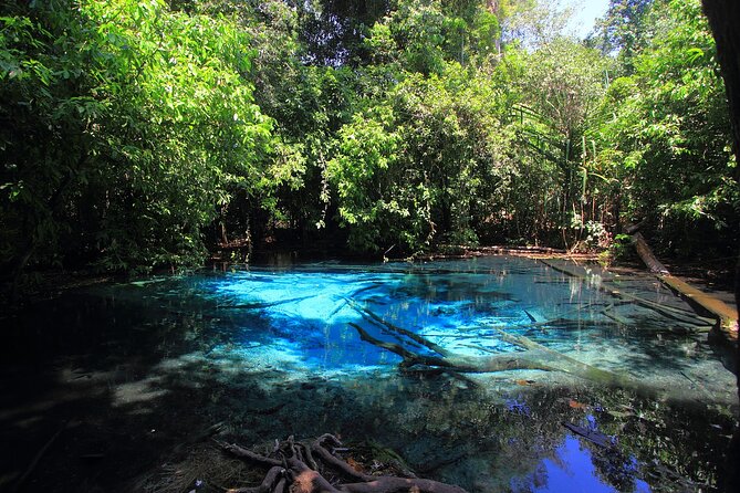 Tiger Cave Temple, Emerald Pool & Hot Springs Tour from Krabi - Authentic Experiences and Why They Matter