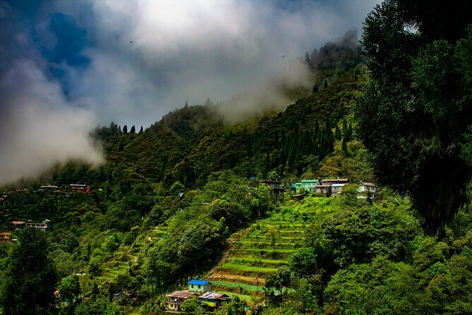 Tiger Hill Darjeeling Nature Walk (3 Hours Guided Trekking Experience) - Key Points