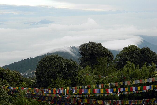Tiger Hill Darjeeling Nature Walk (3 Hours Guided Trekking Experience) - Insights from Traveler Reviews