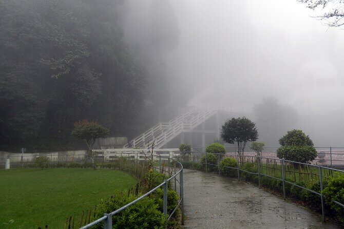 Tiger Hill Darjeeling Nature Walk (3 Hours Guided Trekking Experience) - Who Will Love This Tour?