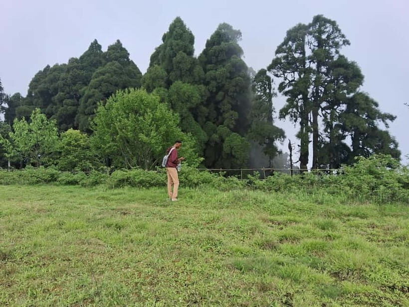 Tiger Hill Sunrise and Hiking Tour from Darjeeling - Key Points
