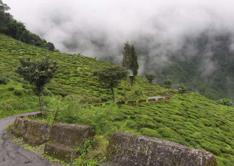 Tiger Hill Sunrise and Hiking Tour from Darjeeling - The Experience at a Glance