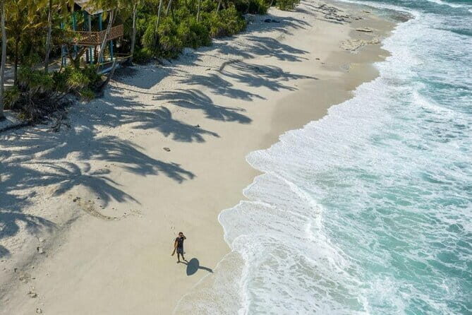 Tiger Shark Diving in Fuvahmulah:8 Days, 7 Nights 15 dives offer - Deep Dive into the Itinerary