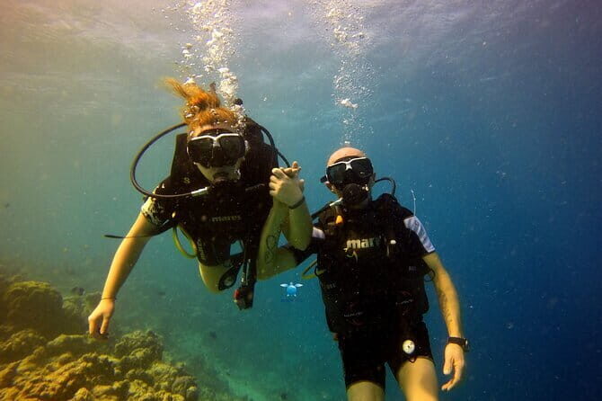 Tiger Shark Diving in Fuvahmulah:8 Days, 7 Nights 15 dives offer - FAQ
