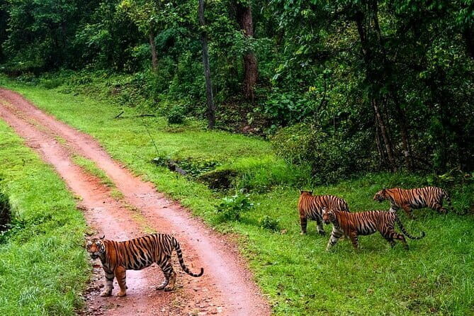 Tiger, Temple & Taj - FAQ