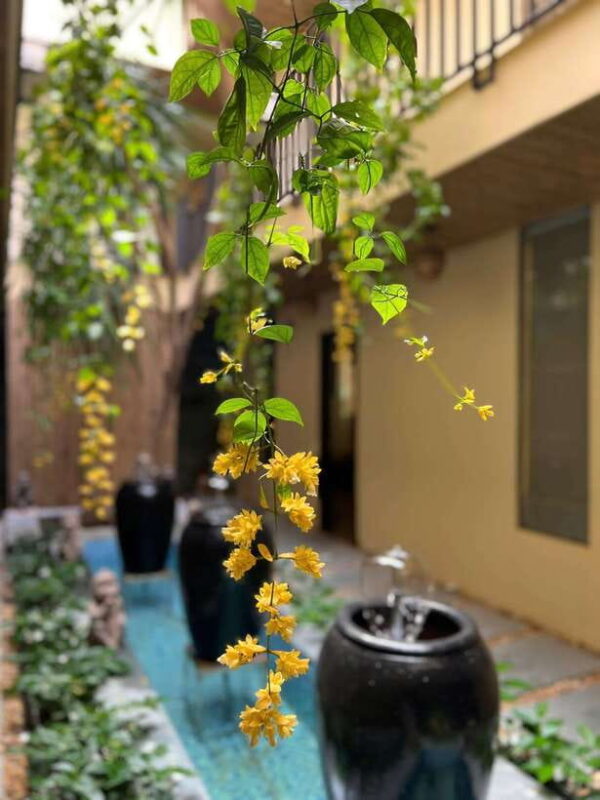 Tigon Spa: Vip 2-90 Minutes Sauna & Red Dao Herbal Bath. - Who Should Consider This Experience?