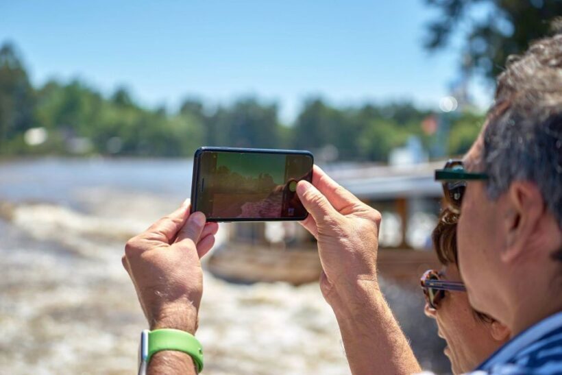 Tigre Delta: Half-Day Tour and Boat Trip - Key Points