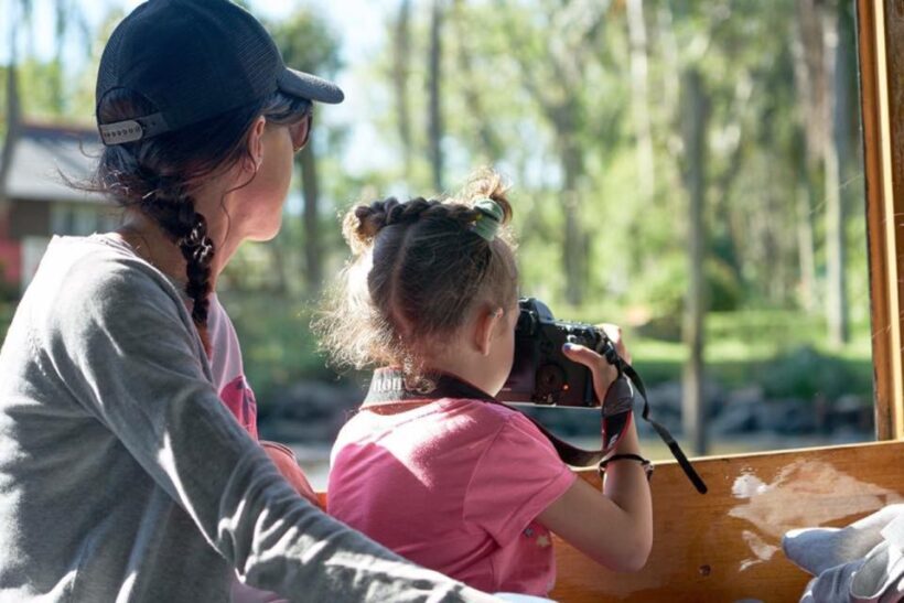 Tigre: River Delta Panoramic Boat Tour - Practical Details and Tips for Travelers