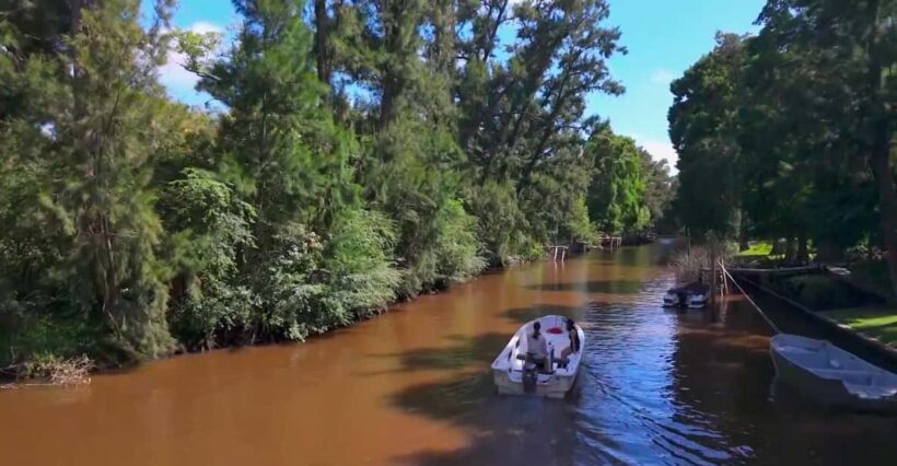 Tigre: Safari Náutico en Tigre/ Biosphere Reserve Boat Tour - Key Points
