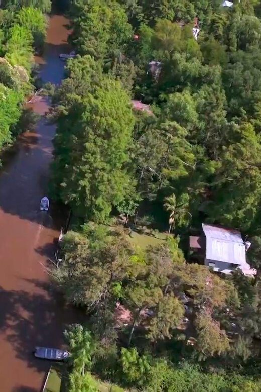 Tigre: Safari Náutico en Tigre/ Biosphere Reserve Boat Tour - A Full Look at the Tigre Boat Tour Experience