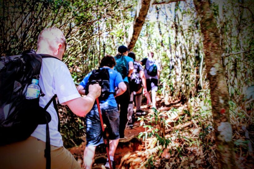 Tijuca Forest: Adventure & History Half-Day Hike - Key Points