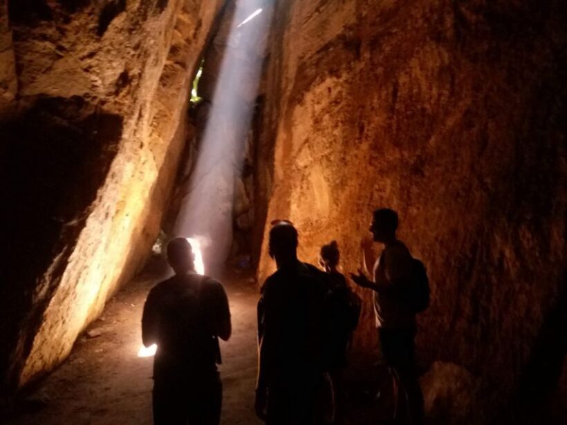 Tijuca Forest: Adventure & History Half-Day Hike - The Sum Up: Who Will Love This Tour?