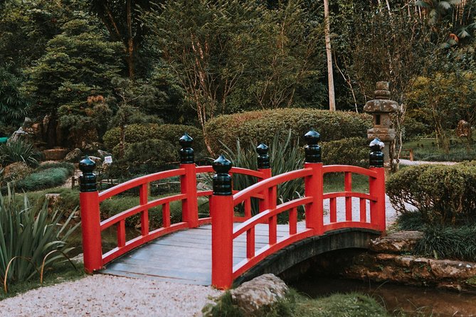 Tijuca Forest and Botanical Garden - Encountering Local Flora and Fauna