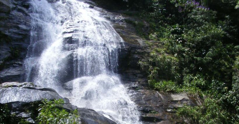 Tijuca Forest Tour - Key Points