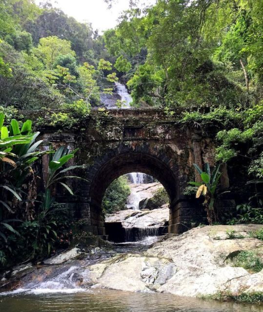 Tijuca Forest´s hike: caves, waterfalls and great views - Discover Tijuca Forest’s Wild Side: Caves, Waterfalls, and Stunning Views