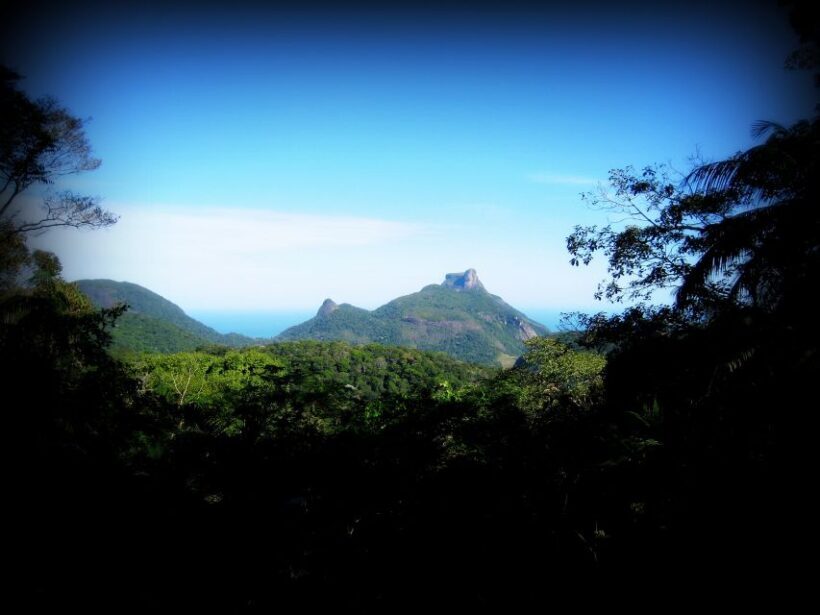 Tijuca Forest´s hike: caves, waterfalls and great views - Key Points